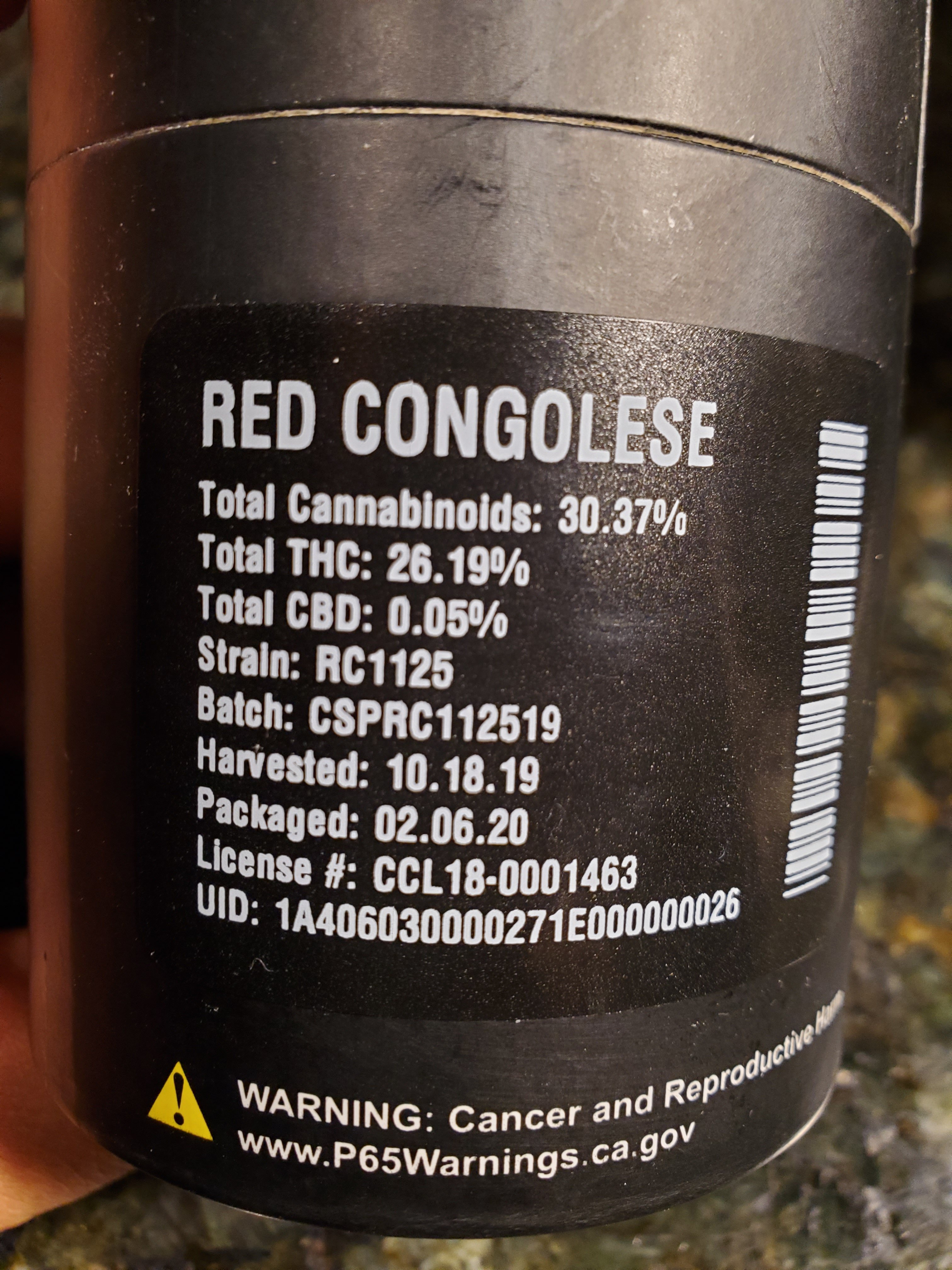Red Congolese Strain
