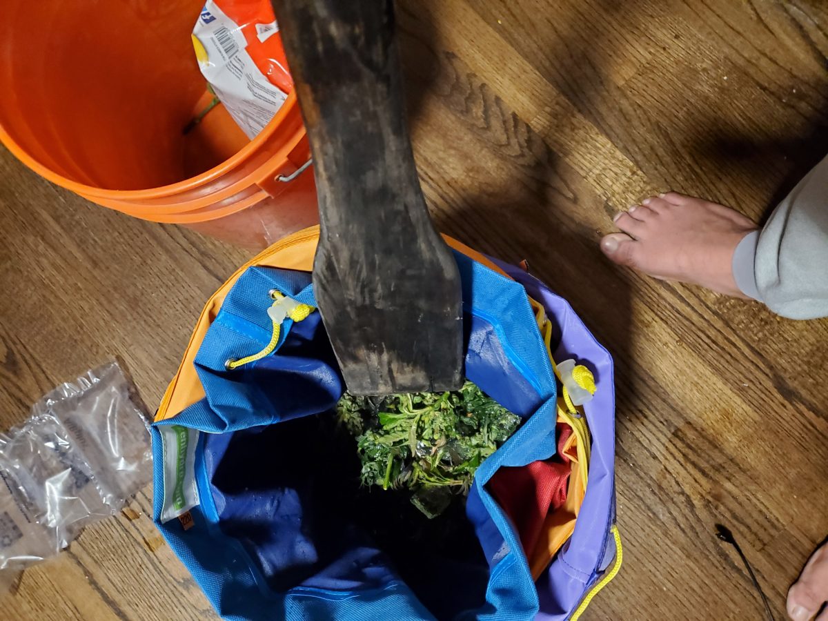 How to Make Bubble Hash : Fast and Easy!