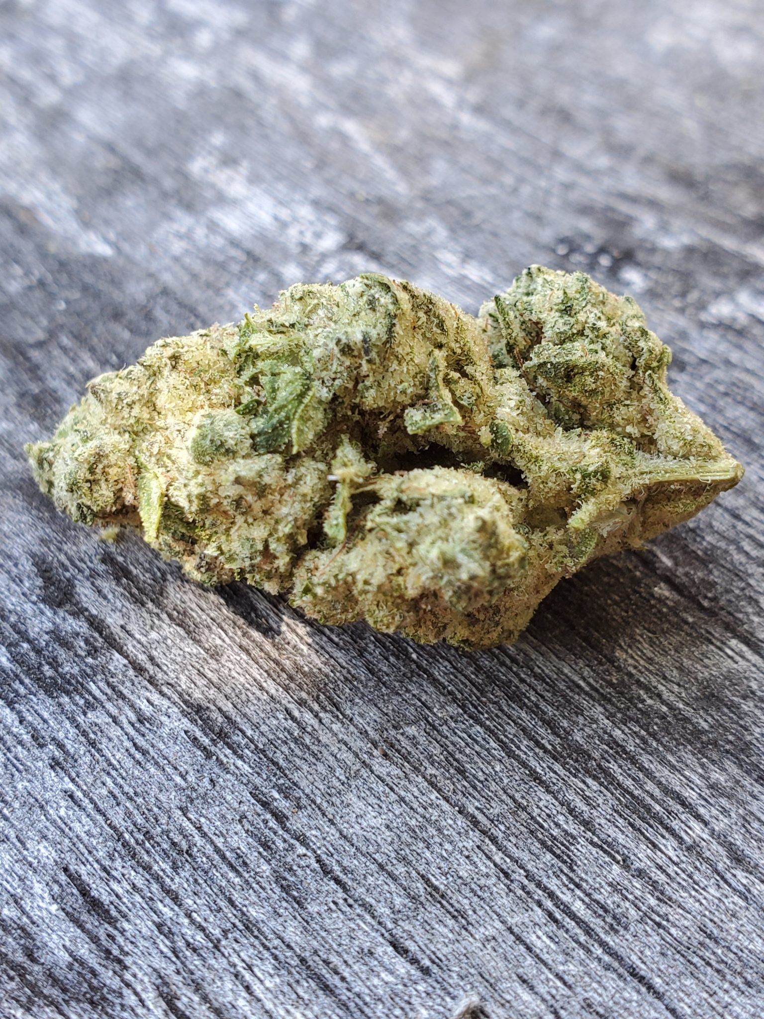 FATSO Strain, Like a fat person sat on your head.